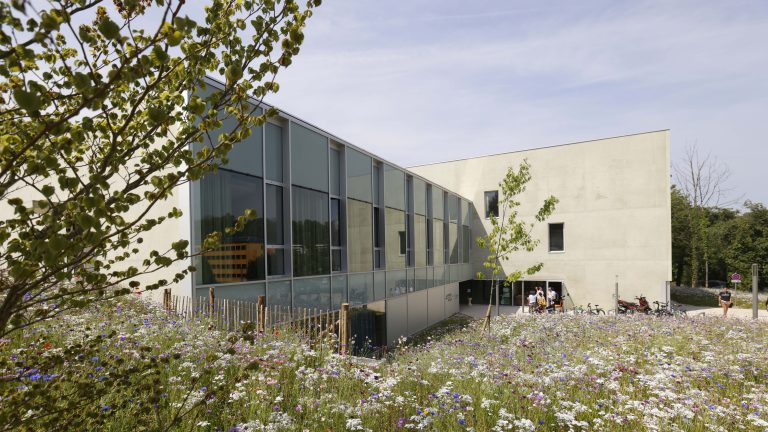 ISIFC Génie Biomédical • Formation d'ingénieur